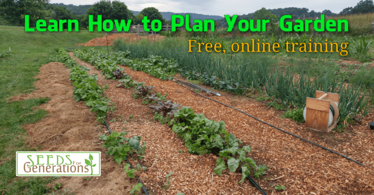 Training on Gardening and Growing Food