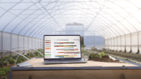 Seedtime Garden Planning App