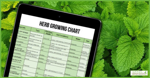 Herb Growing Chart