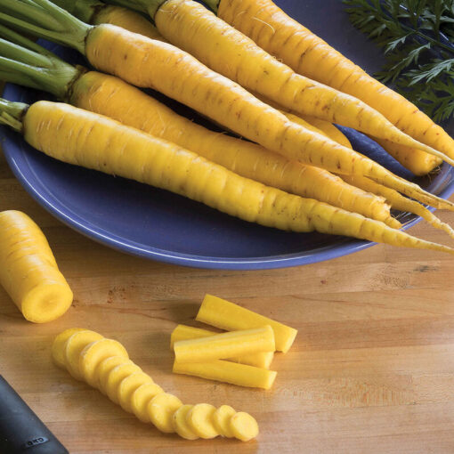 Carrot Yellowstone